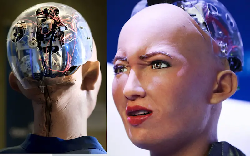 Contoh Robot Canggih Masa Kini Dan Inovasi Terbaru